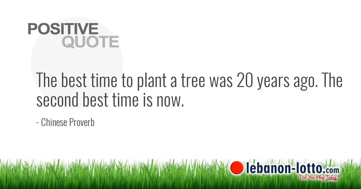 POSITIVE QUOTES: The best time to plant a tree was 20 years ago. The...
